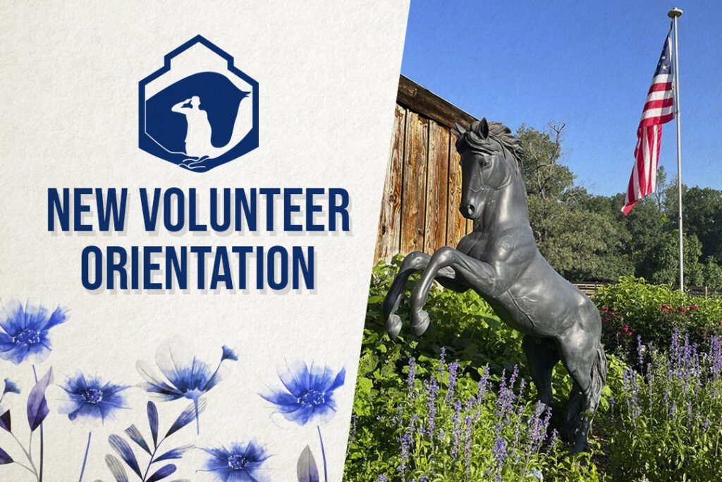 New Volunteer Orientation – Registration Required – Henrys Home Sanctuary