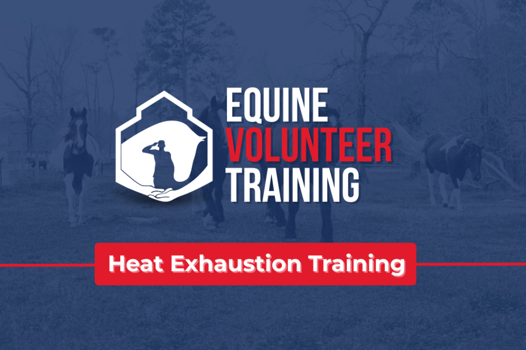 Equine Volunteer Training – Heat Exhaustion Training – Henrys Home ...